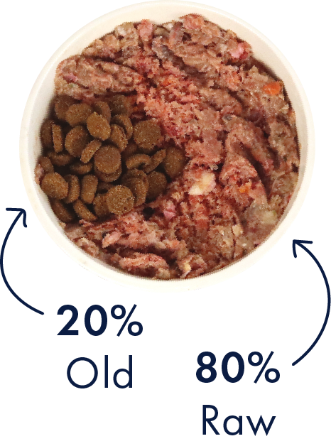 How to Transition Your Dog to Raw Food - Leading Raw Guide