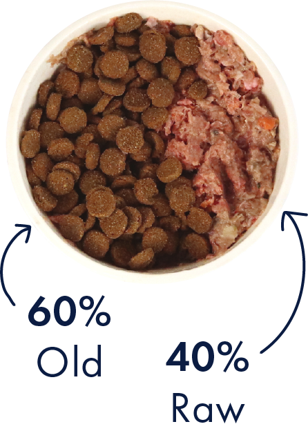 How to Transition Your Dog to Raw Food - Leading Raw Guide